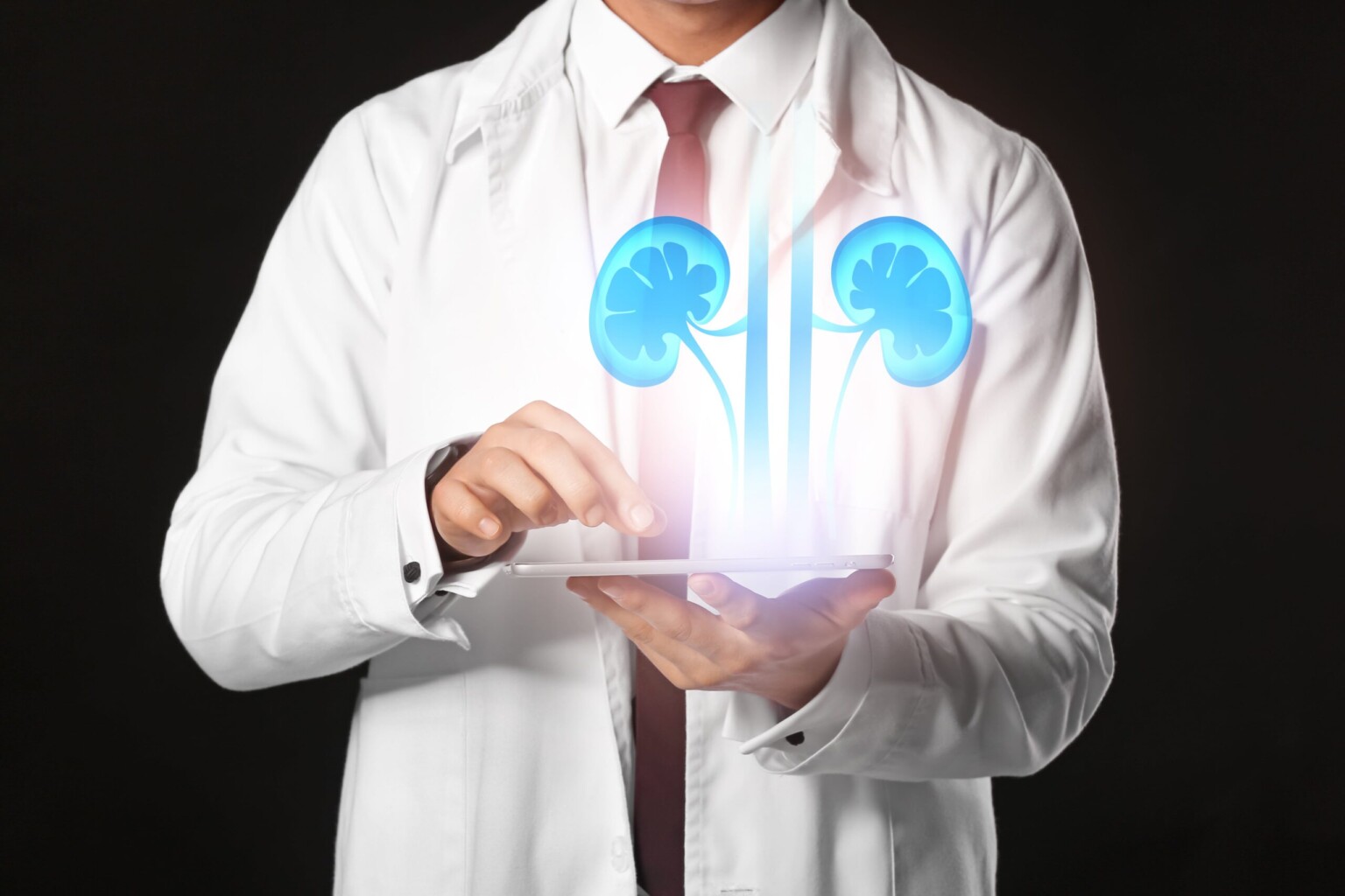 Ciekawostki o nerkach i układzie moczowym | Fitolizyna